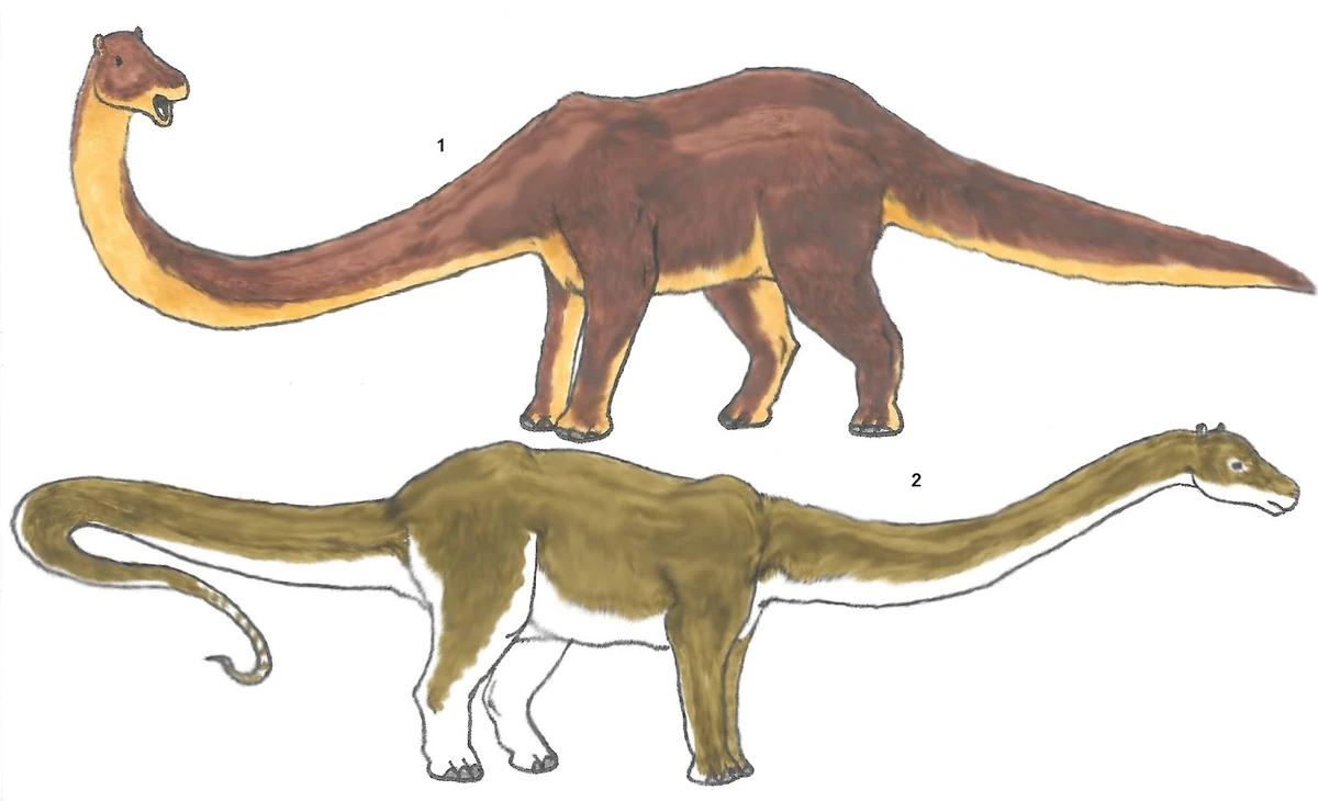 Anacoll | Fanon Wiki | Fandom