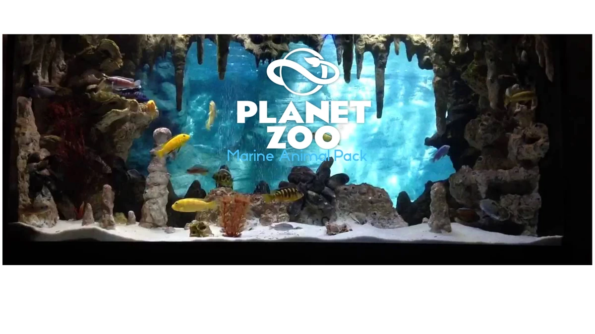 Planet Zoo: Marine Animal Pack | Fanon Wiki | Fandom