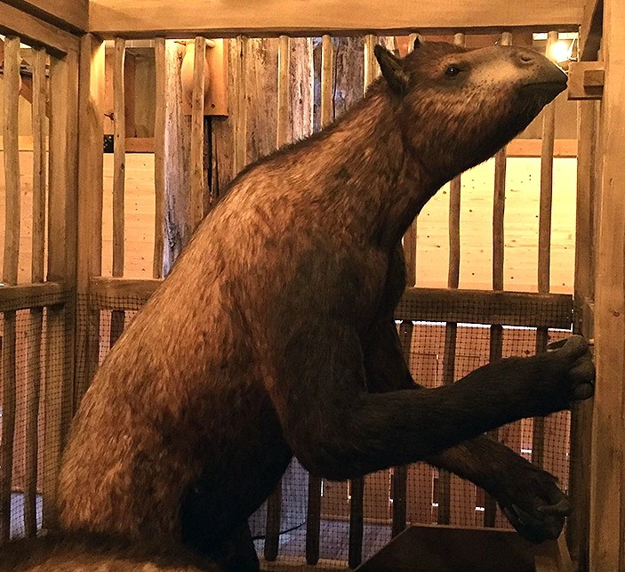 Grizzly chalico (SciiFii) | Fanon Wiki | Fandom