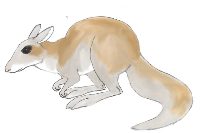 Featherfoot | Fanon Wiki | Fandom