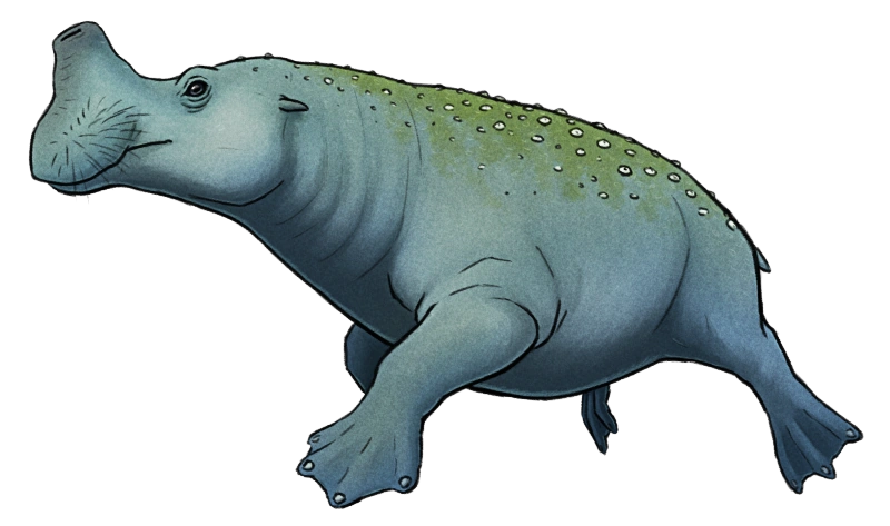 False bunyip (SciiFii) | Fanon Wiki | Fandom