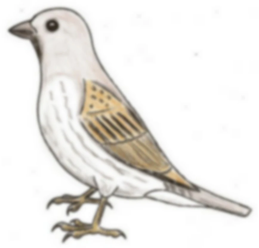 Beggar sparrow (SciiFii) | Fanon Wiki | Fandom
