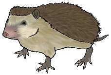 Silvacola (SciiFii) | Fanon Wiki | Fandom