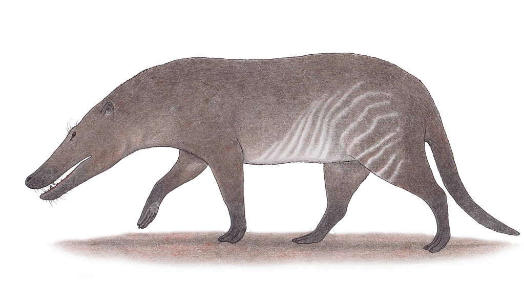 Pakicetus (SciiFii) | Fanon Wiki | Fandom