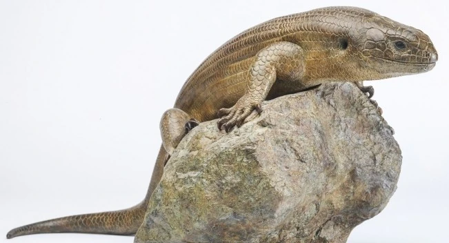 Mauritian giant skink (SciiFii) | Fanon Wiki | Fandom
