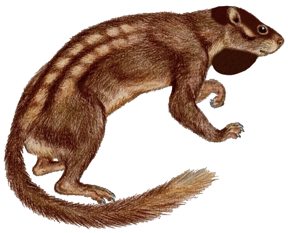 American howler lemur (SciiFii) | Fanon Wiki | Fandom