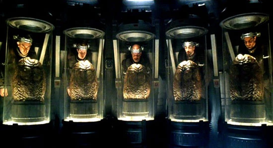 Breeding room (Earth-9471) | Fanon Wiki | Fandom