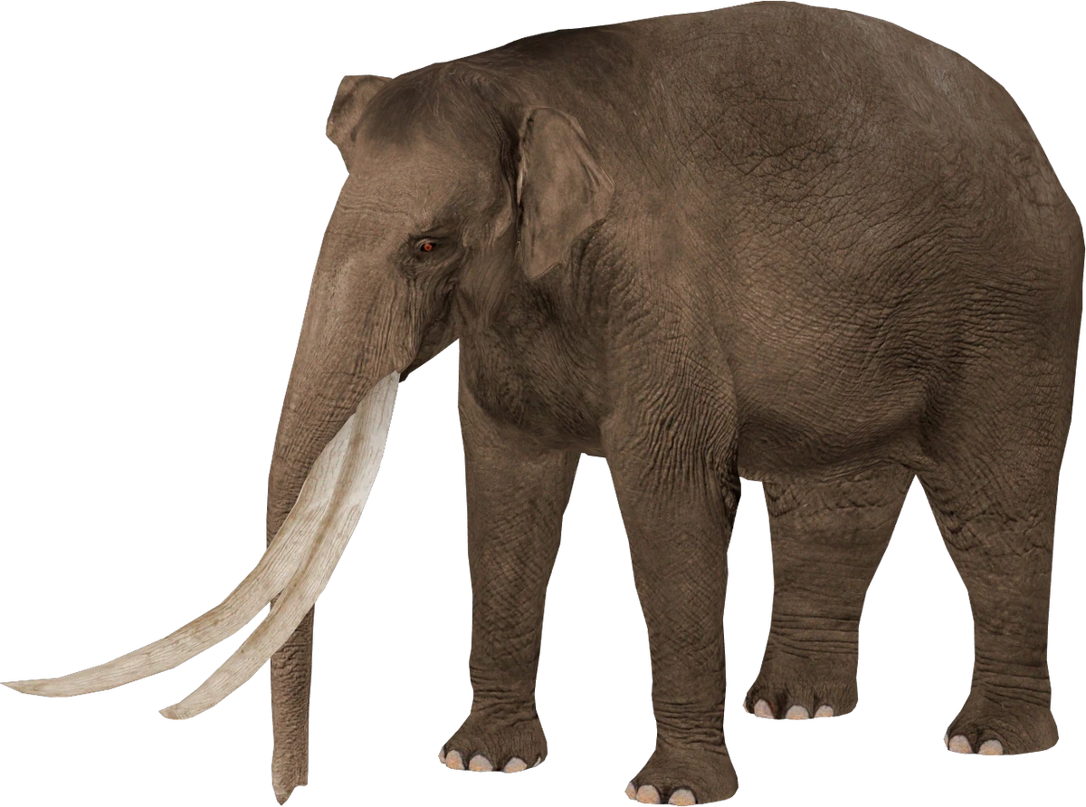 Stegodon (SciiFii) | Fanon Wiki | Fandom