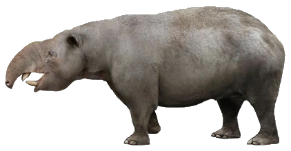 Pyrotherium (SciiFii) | Fanon Wiki | Fandom