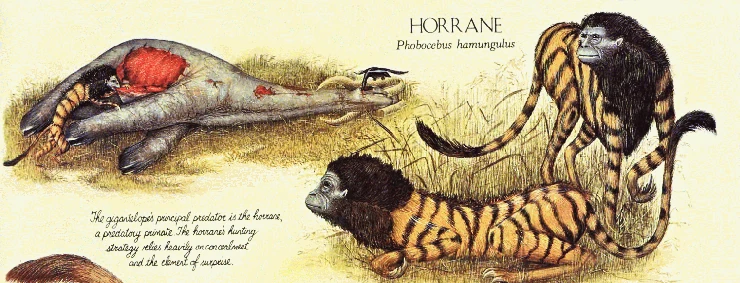 Horrane | Fanon Wiki | Fandom