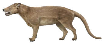 Mesonyx (SciiFii) | Fanon Wiki | Fandom