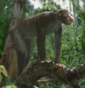 Proconsul (SciiFii) | Fanon Wiki | Fandom