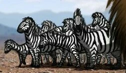 Zebrasosaurus | Fanon Wiki | Fandom