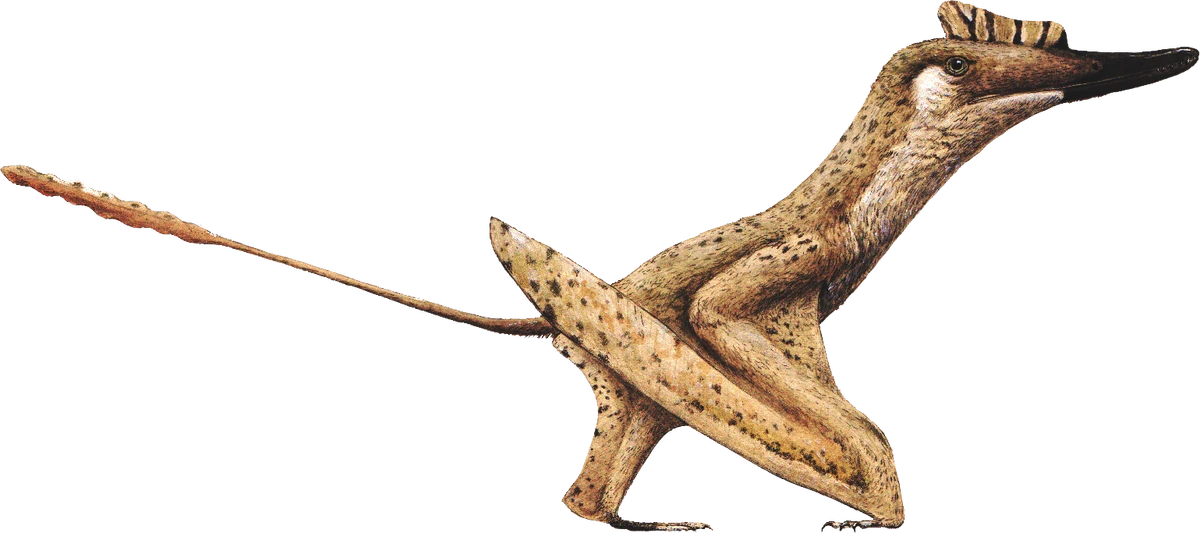 Darwinopterus V1 (SciiFii) | Fanon Wiki | Fandom