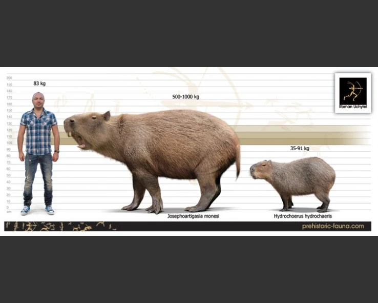 Cowrat | Fanon Wiki | Fandom