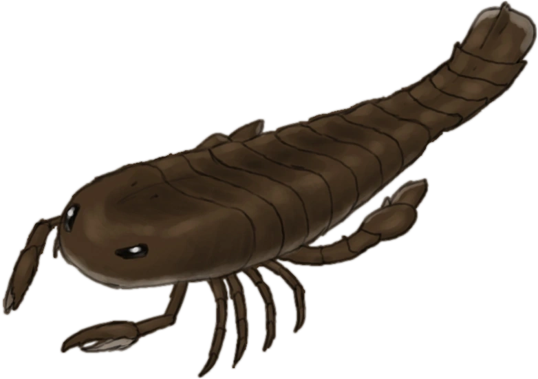 Pterygotus (SciiFii) | Fanon Wiki | Fandom