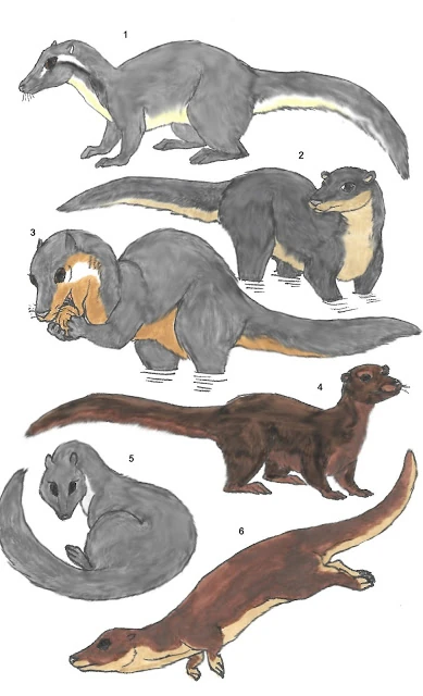 Bear-Fox | Fanon Wiki | Fandom