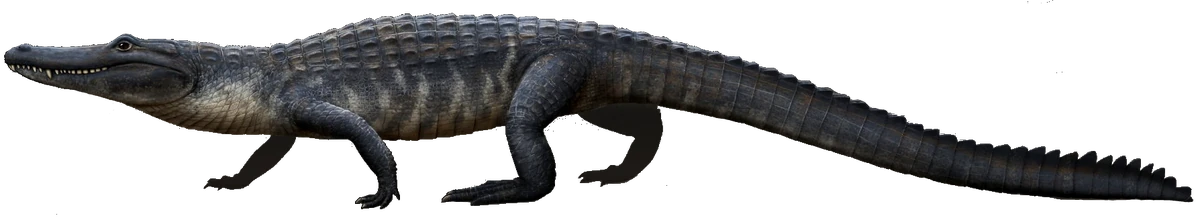 Brachychampsa (SciiFii) | Fanon Wiki | Fandom