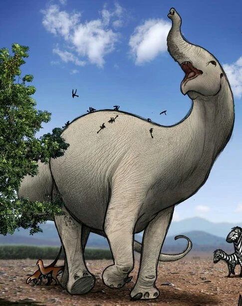 Elephasosaurus | Fanon Wiki | Fandom