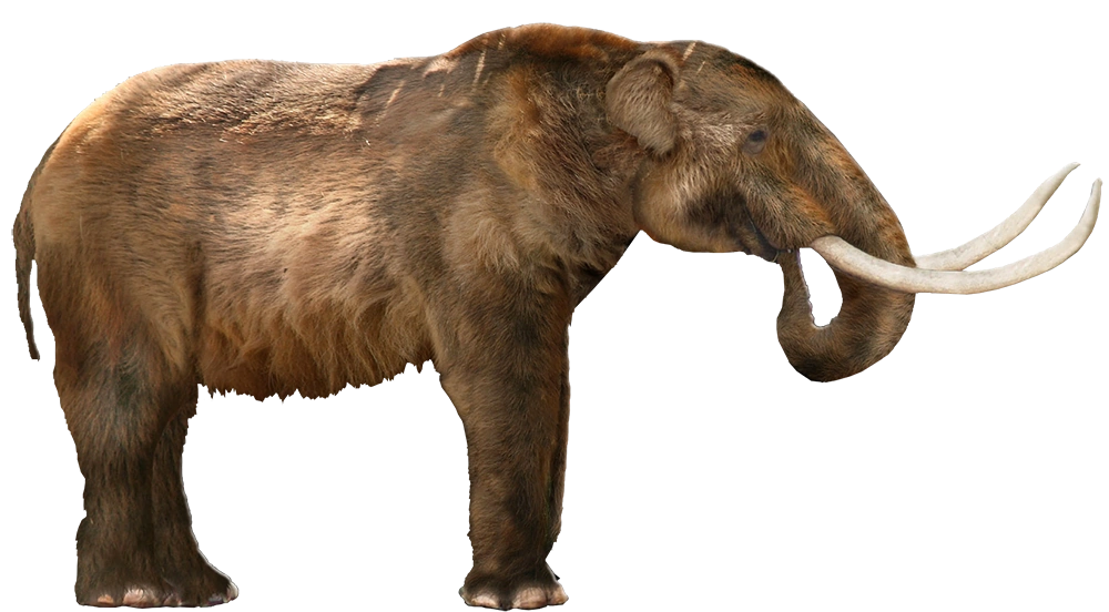 American mastodon (SciiFii) | Fanon Wiki | Fandom