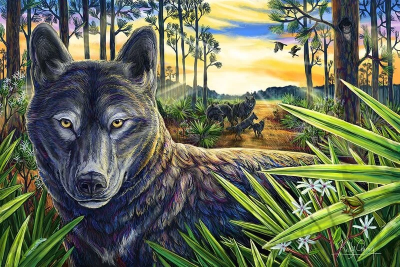Florida black wolf (SciiFii) | Fanon Wiki | Fandom