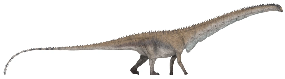 Barosaurus (SciiFii) | Fanon Wiki | Fandom