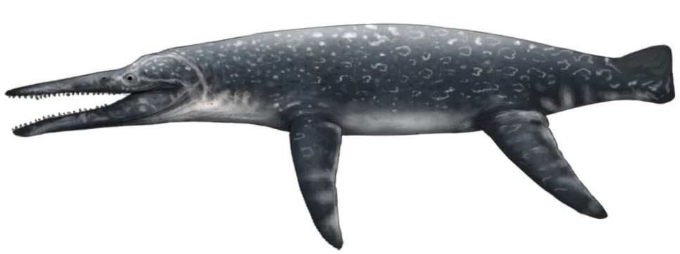 Pelorus (SciiFii) | Fanon Wiki | Fandom