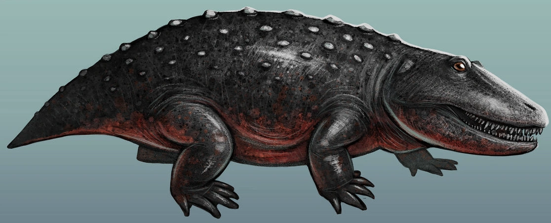 Eryops (SciiFii) | Fanon Wiki | Fandom