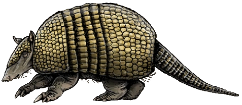 Pampatherium (SciiFii) | Fanon Wiki | Fandom