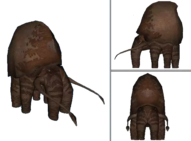 Megasquid (SciiFii) | Fanon Wiki | Fandom