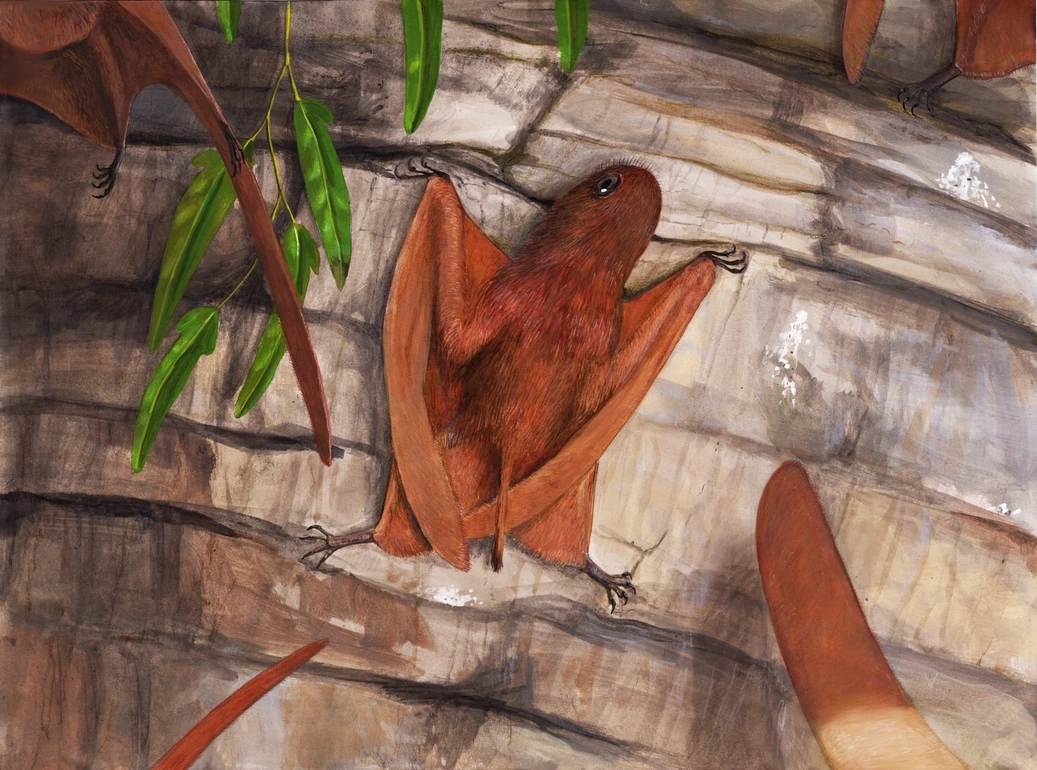 Dendrorhynchoides (SciiFii) | Fanon Wiki | Fandom