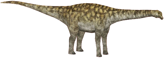 Borealosaurus (SciiFii) | Fanon Wiki | Fandom