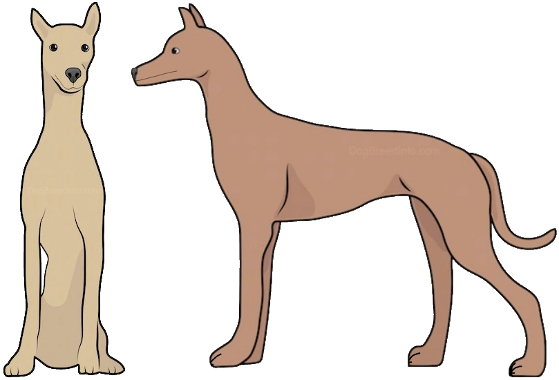 Tesem | Fanon Wiki | Fandom