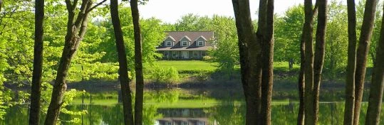 Dark Pond | Fanon Wiki | Fandom