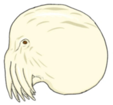 Ghast (SciiFii) | Fanon Wiki | Fandom