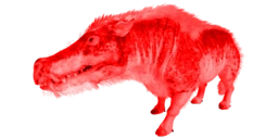 Zantodont | Fanon Wiki | Fandom