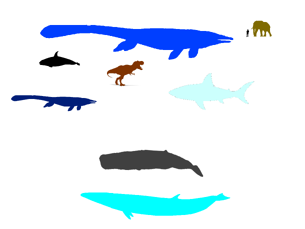 Mosasaurus (Project: Planet Animal) | Fanon Wiki | Fandom