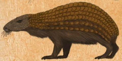 Grassland rattleback (SciiFii) | Fanon Wiki | Fandom