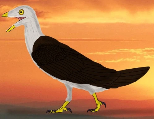 Raptorial Protobird | Fanon Wiki | Fandom