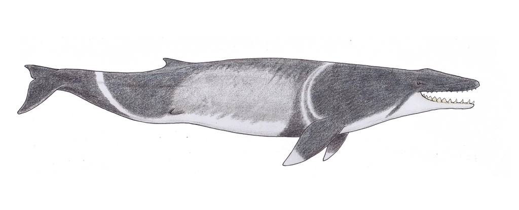 Coronodon (SciiFii) | Fanon Wiki | Fandom