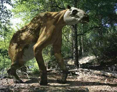 Chalico | Fanon Wiki | Fandom