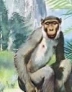 Scandinavian Aegyptopithecus | Fanon Wiki | Fandom