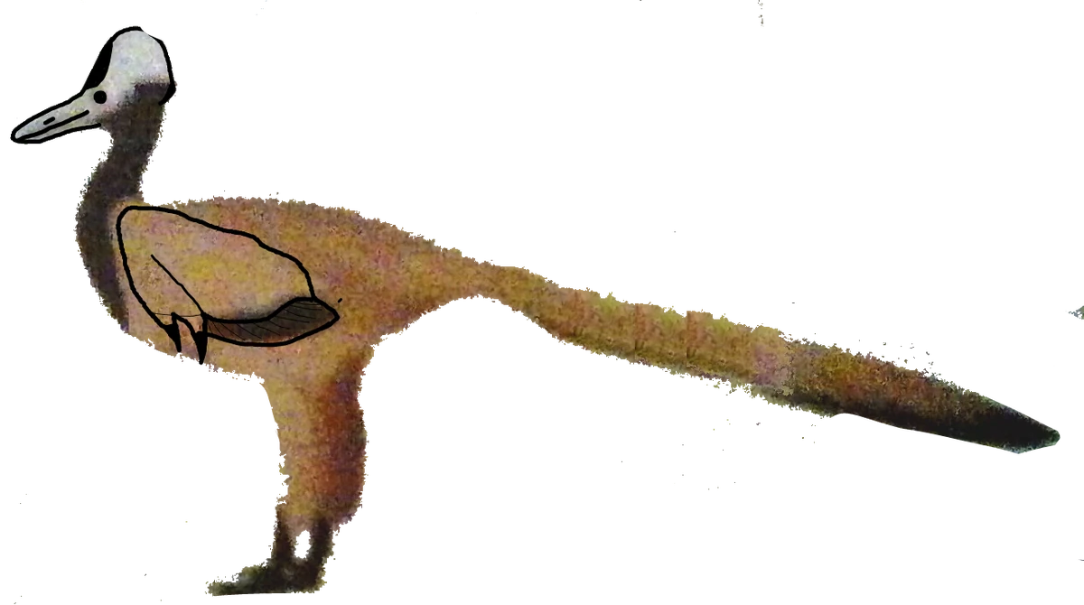 White-Crested Wounder | Fanon Wiki | Fandom