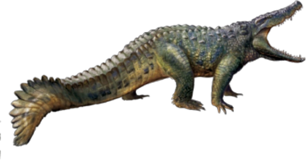 Allodaposuchus (SciiFii) | Fanon Wiki | Fandom