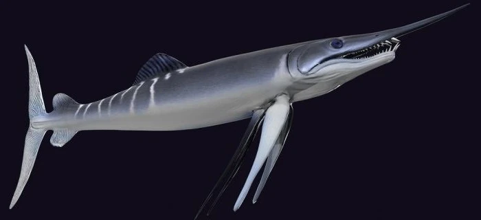 Protosphyraena (SciiFii) | Fanon Wiki | Fandom