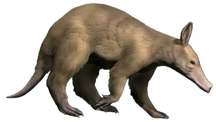 Amphiorycteropus (SciiFii) | Fanon Wiki | Fandom