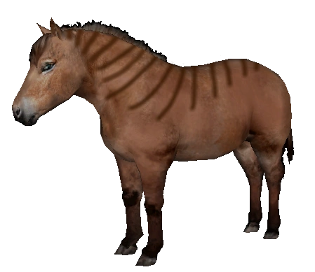 Cape giant zebra (SciiFii) | Fanon Wiki | Fandom