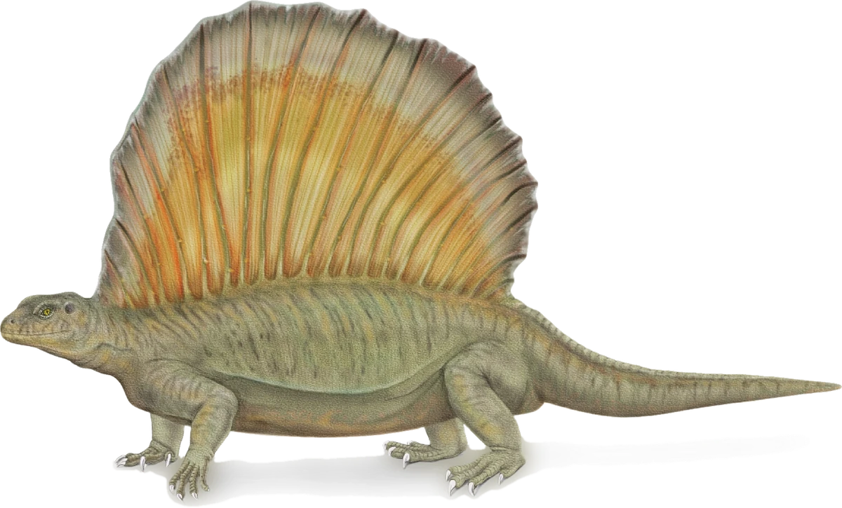 Edaphosaurus (SciiFii) | Fanon Wiki | Fandom