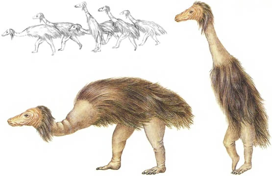 Wandle | Fanon Wiki | Fandom