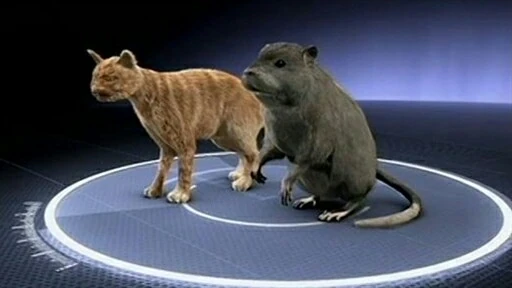 Big Rat | Fanon Wiki | Fandom